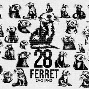 Ferret Vector Illustration, Svg Png Bundle, Digital Download, for Cricut, Engraving, Prints ...