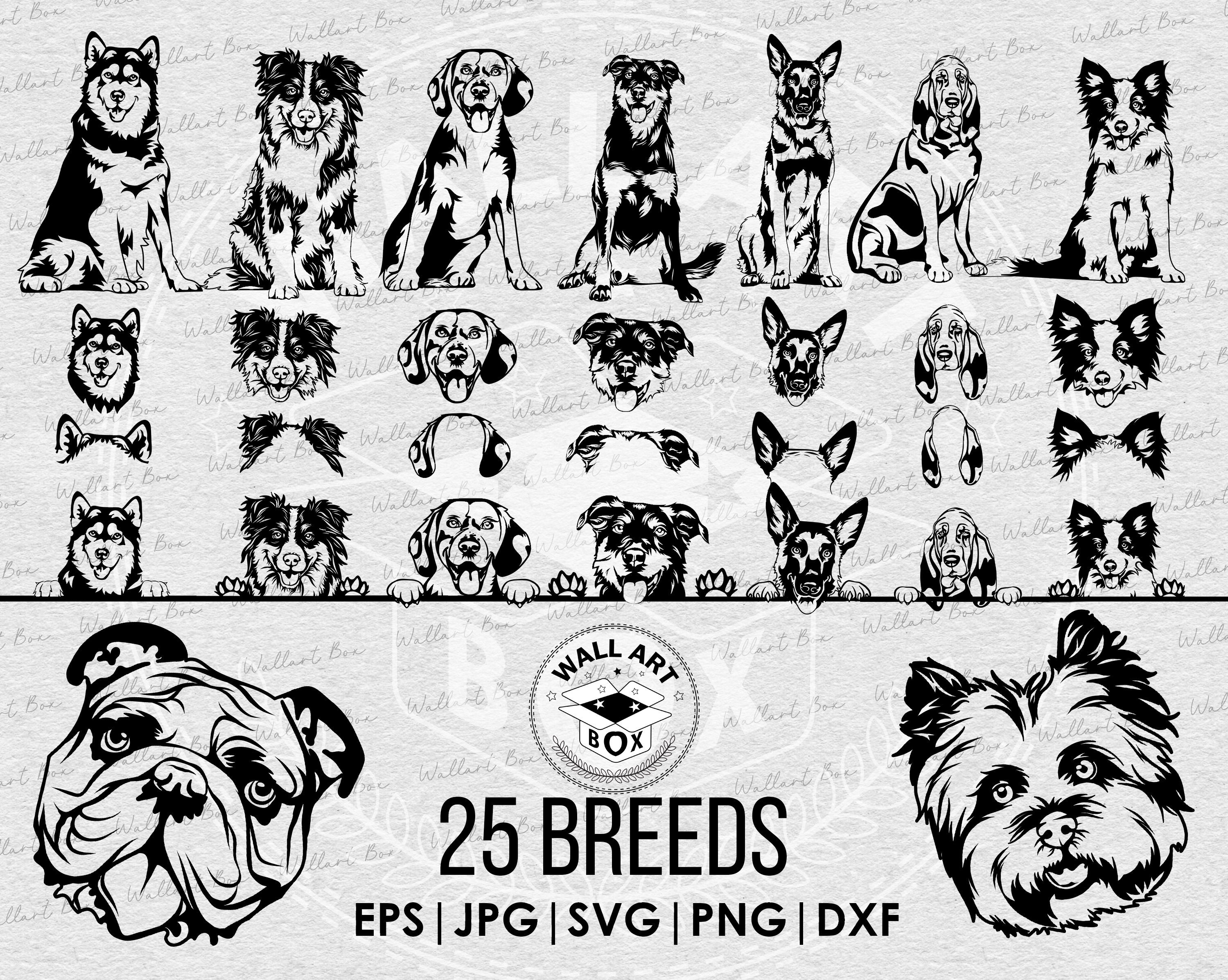 25 Breed Dog Drawing SVG Png Eps Dxf Jpg Bundle Playful - Etsy