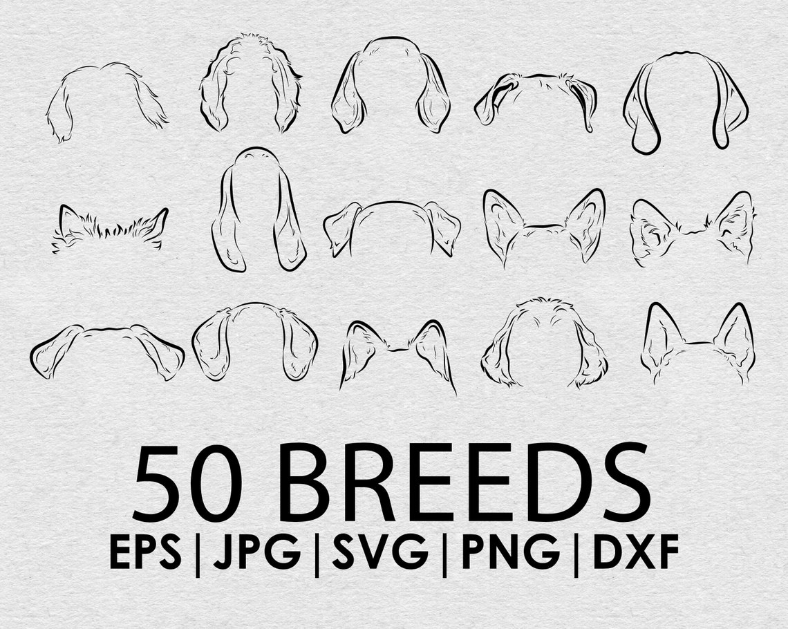 Dog Svg Bundle, 50 Dog Drawing Svg, Tattoo, Line Drawing, DXF, PNG ...