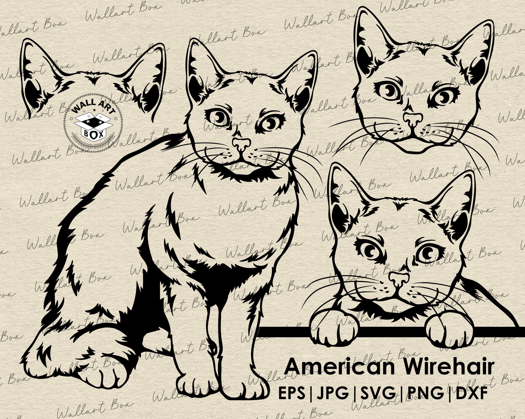 American Wire Hair Cat Svg| Cat Full Body Peeking Head Ears Files ...