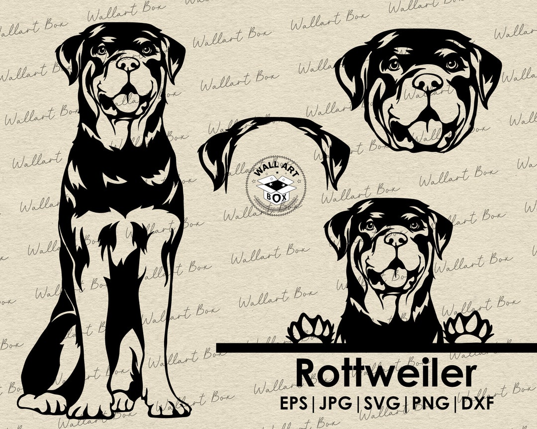 Rottweiler Svg| Dog Full Body Peeking Head Ears Files Cricut| Clipart ...
