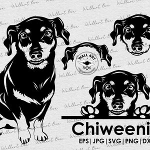 Chiweenie Dog SVG Cricut| Cute Puppy Clipart| Vector Image DXF Download ...