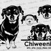Chiweenie Dog SVG Cricut| Cute Puppy Clipart| Vector Image DXF Download ...