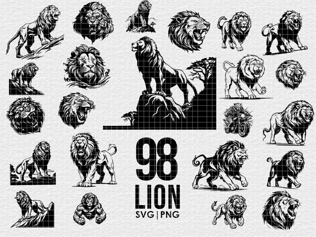 Lion Vector Illustration Bundle, Svg Png Bundle, Digital Download, for ...