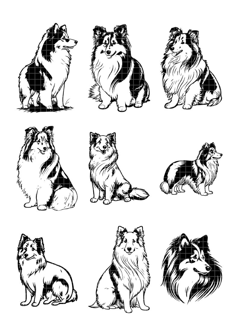 29 Shetland Sheepdog Dog Svg Bundle| Svg, Cricut| Peeking Dog Clipart ...