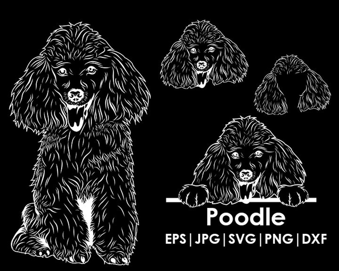 Poodle Dog Head, Full Body, Peeking, Dog Ear, Files Cricut| Clipart ...