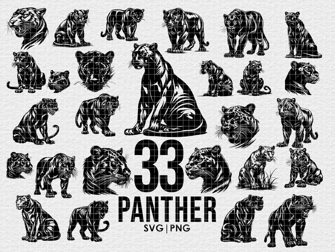 Panther Vector Illustration Bundle, Svg Png Bundle, Digital Download ...