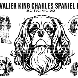31 Cavalier king charles spaniels Svg Bundle| Svg, Cricut| Peeking Dog ...