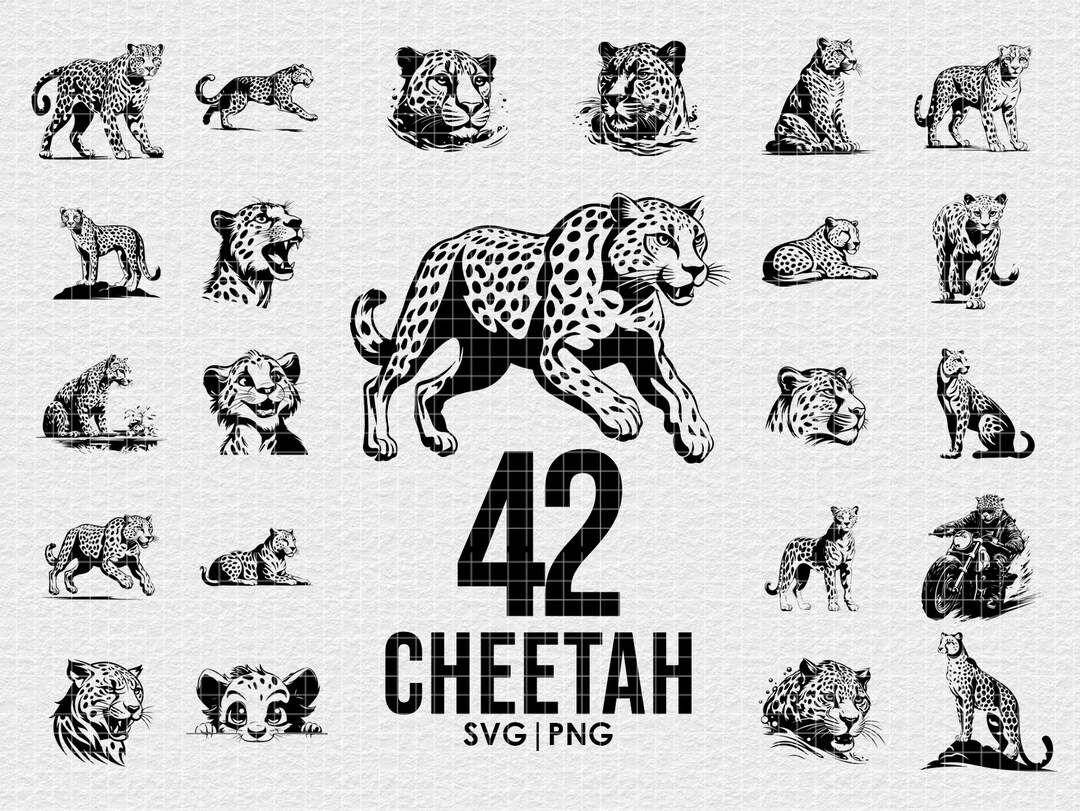 Cheetah Vector Illustration Bundle, Svg Png Bundle, Digital Download ...