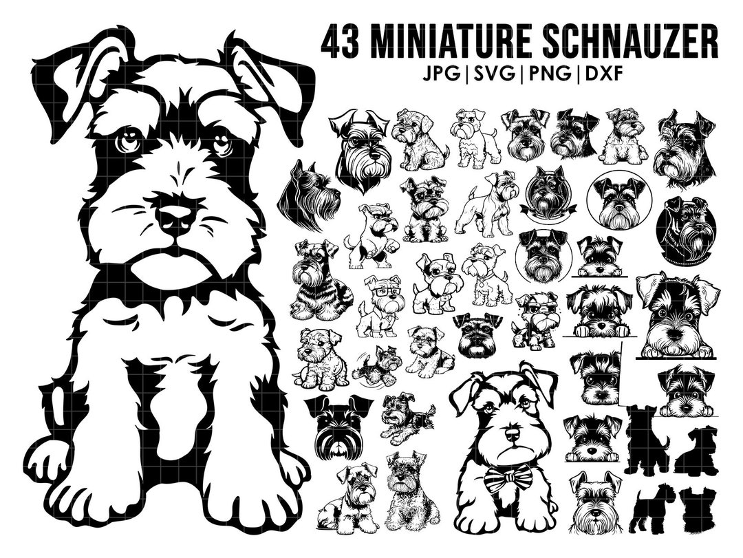 43 Miniature schnauzers Dog Svg Bundle| Svg, Cricut| Peeking Dog ...