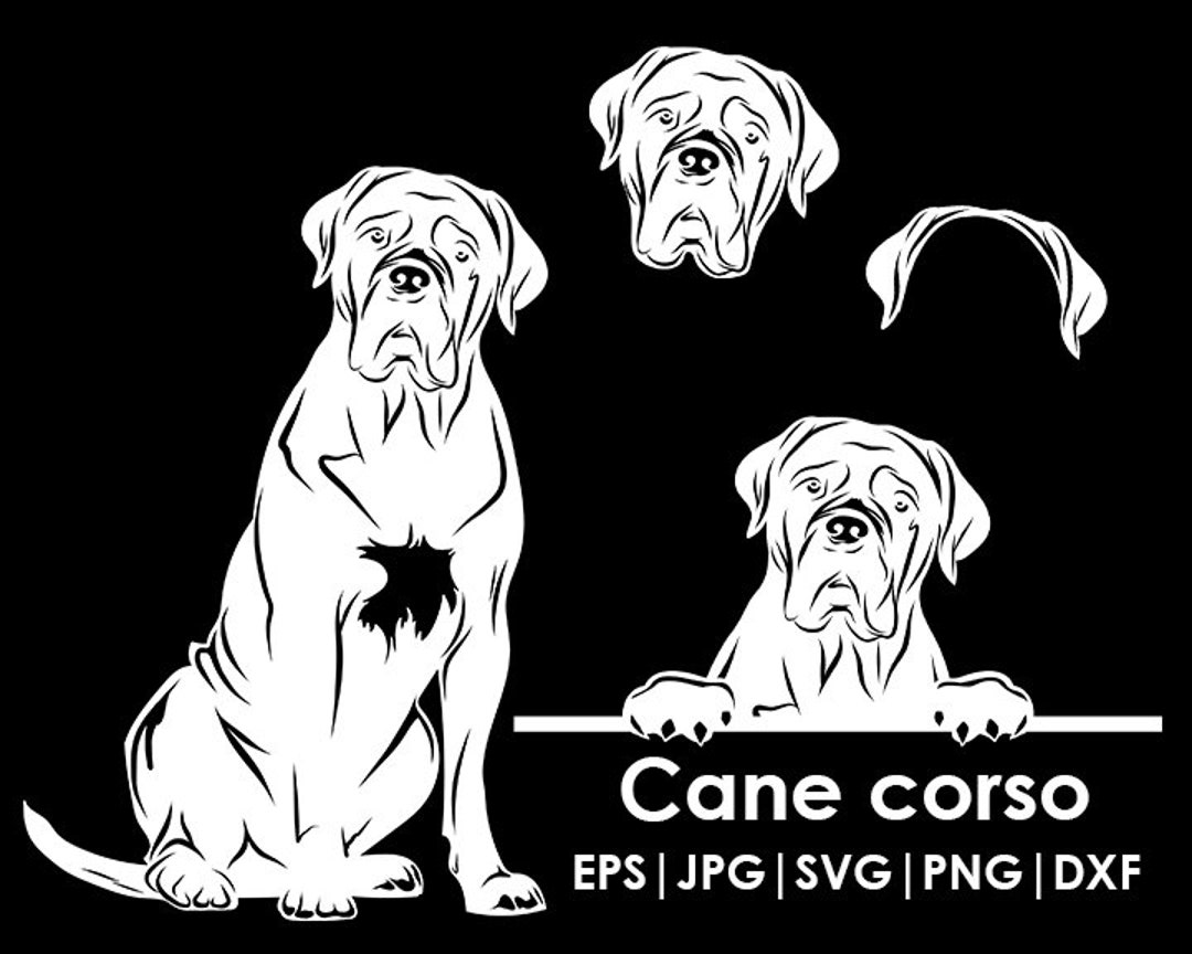 Cane Corso Dog Head, Full Body, Peeking, Dog Ear, Files Cricut| Clipart ...