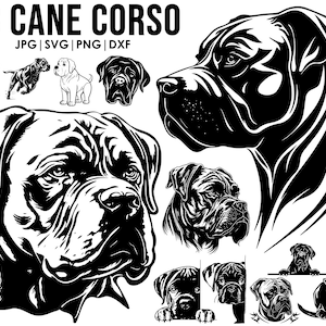 Cane corso SVG Mega Bundle Drawing Ear, Full Body, Peeking, SILHOUETTE ...