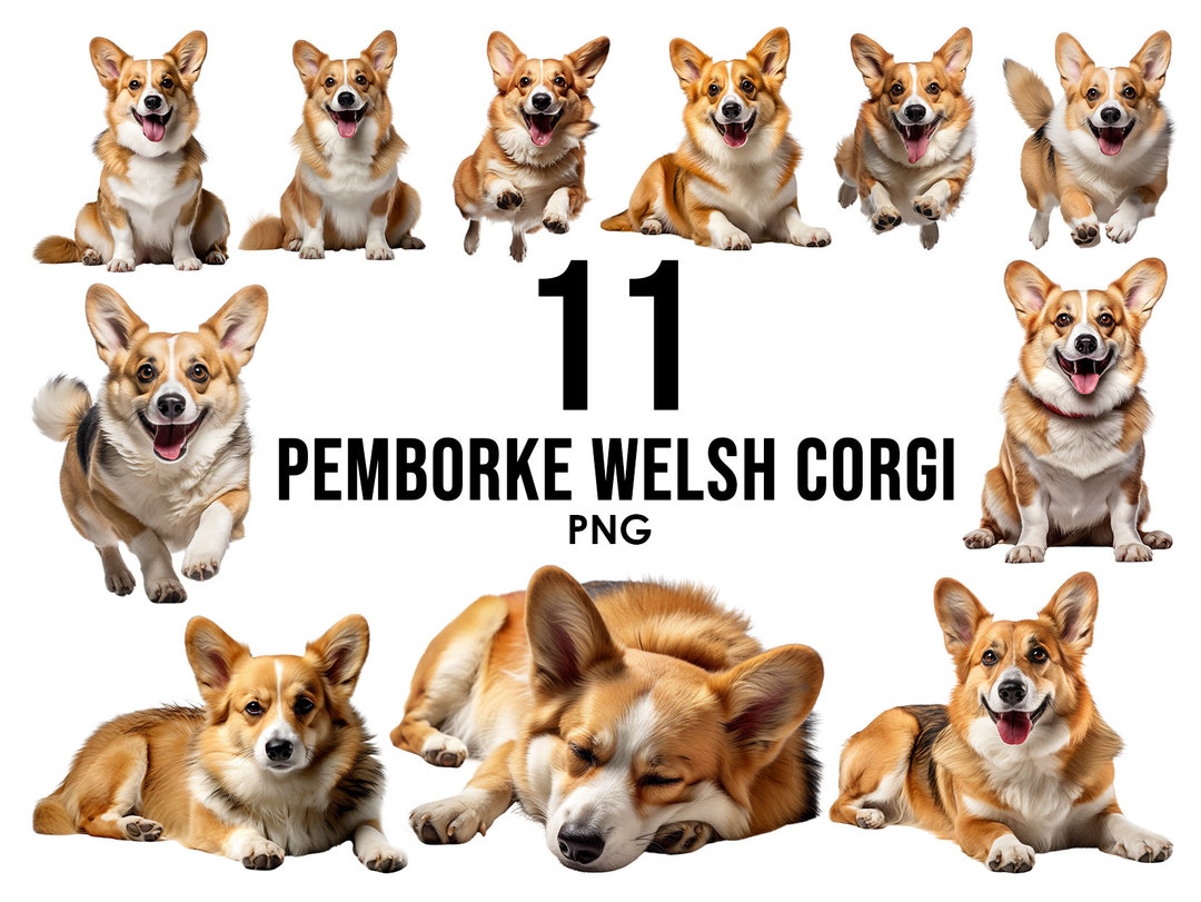 Pemborke Welsh Corgi Dog Breeds Clipart Bundle, Dog Sublimation Designs ...