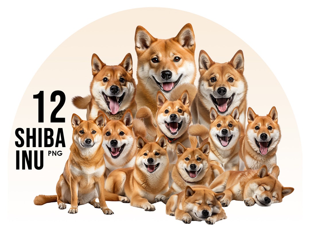 Shiba Inu Dog Breeds Clipart Bundle, Dog Sublimation Designs, Dog ...