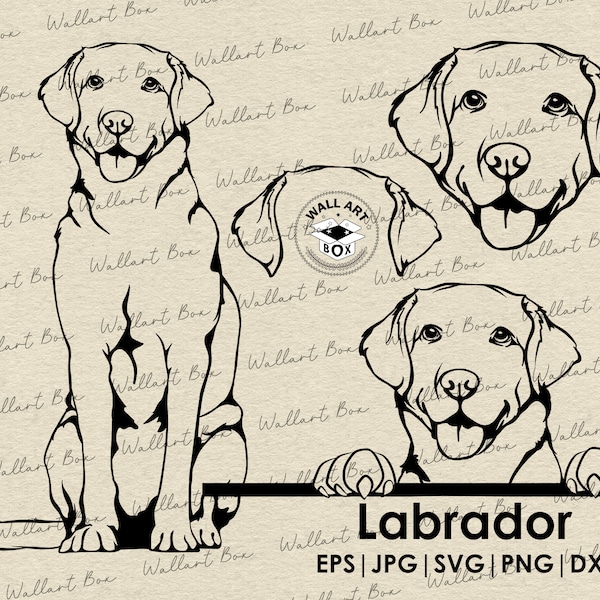 Peeking Lab Svg - Etsy