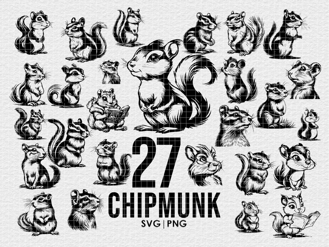 Chipmunk Vector Illustration Bundle, Svg Png Bundle, Digital Download ...