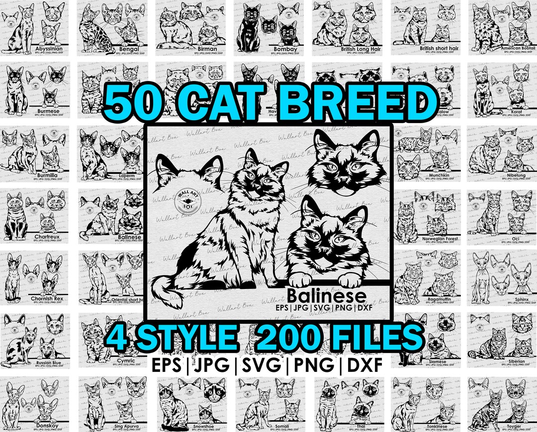 50 Breed Cat Mega Bundle Drawing| Clip Art, SVG, Png, Eps, Dxf, Jpg ...