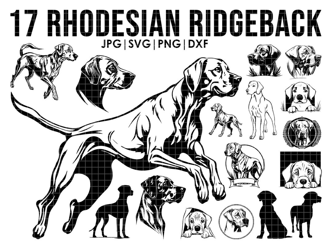 17 Rhodesian Ridgeback Dog Svg Bundle | Svg, Cricut | Peeking Dog ...