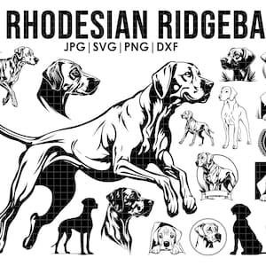 17 Rhodesian Ridgeback Dog Svg Bundle | Svg, Cricut | Peeking Dog ...