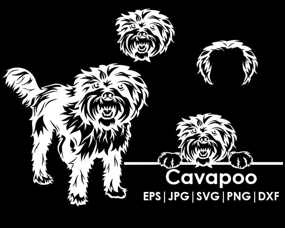Cavapoo Dog Head, Full Body, Peeking, Dog Ear, Files Cricut| Clipart ...