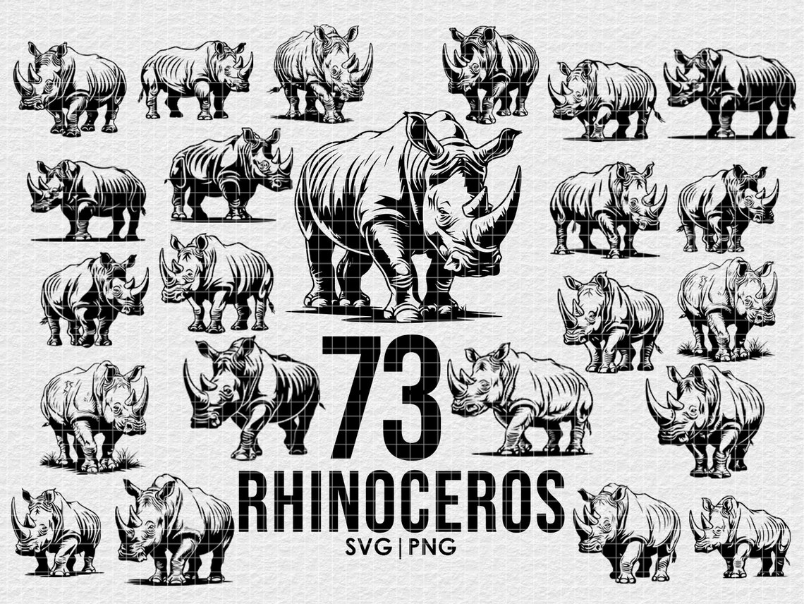Rhinoceros Vector Illustration Bundle, Svg Png Bundle, Digital Download ...