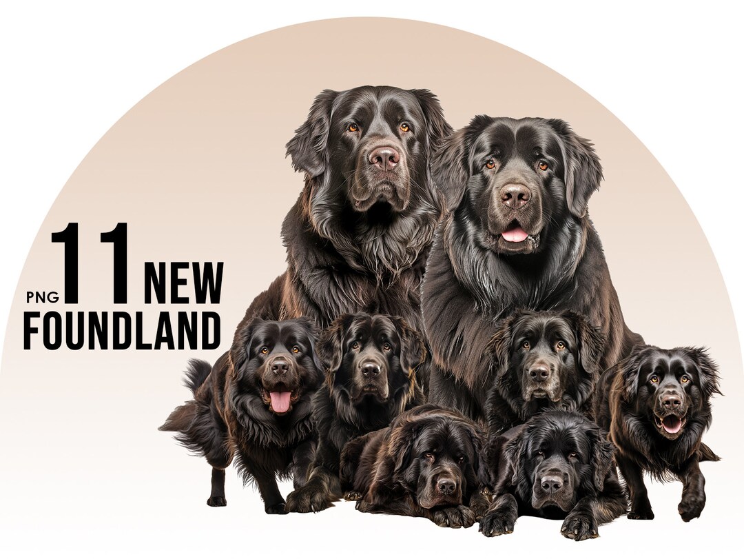 New Foundland Dog Breeds Clipart Bundle, Dog Sublimation Designs, Dog ...