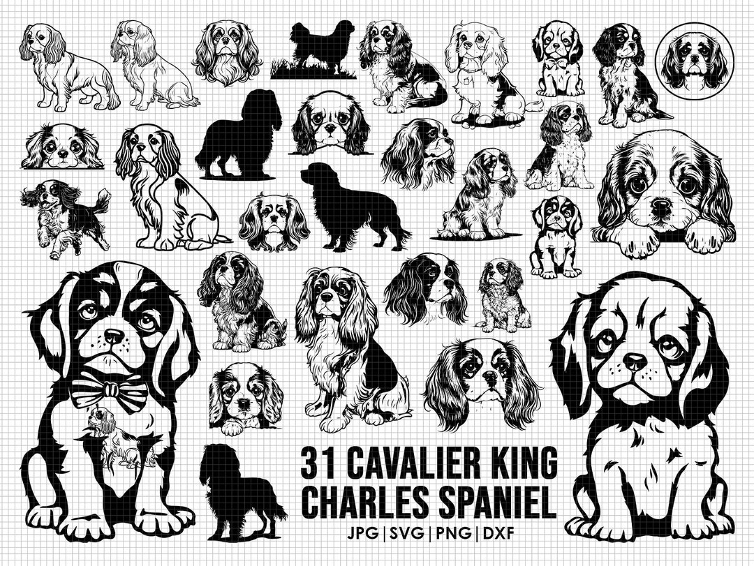 31 Cavalier king charles spaniels Svg Bundle| Svg, Cricut| Peeking Dog ...
