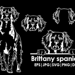 Brittany Spaniel Dog Head, Full Body, Peeking, Dog Ear, Files Cricut ...