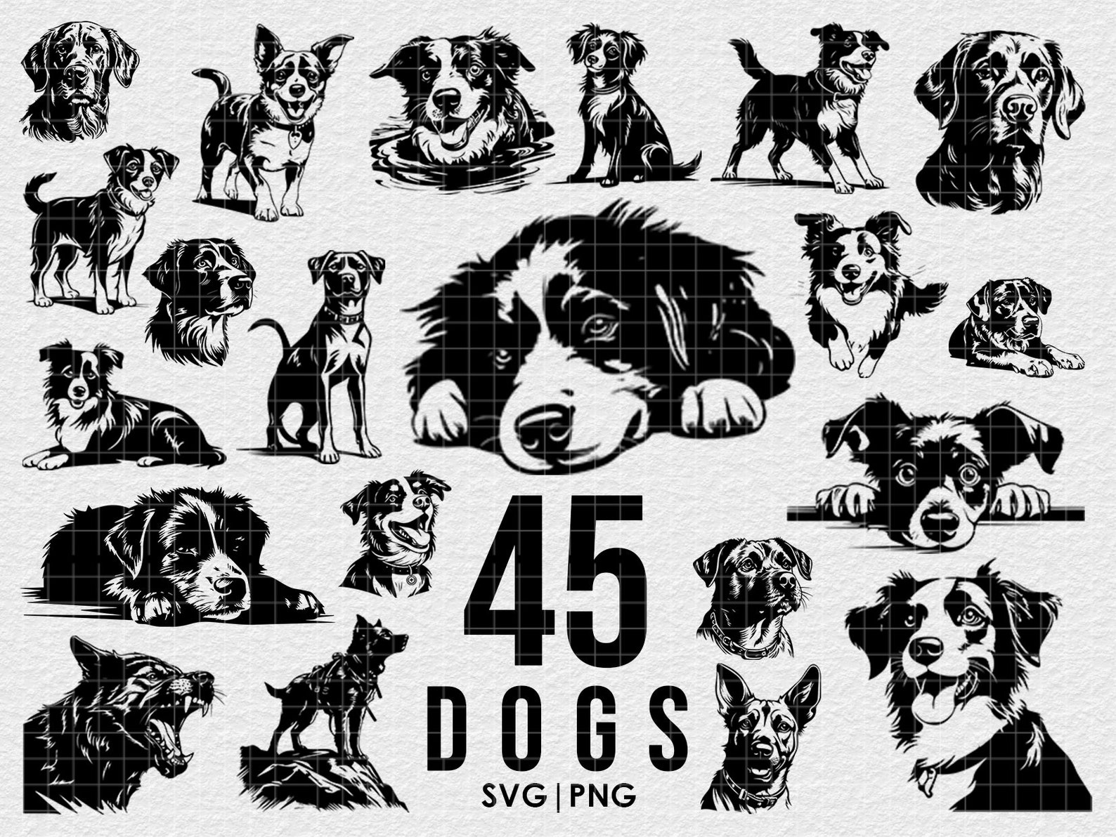 Dogs Vector Illustration, Svg Png Bundle, Digital Download, for Cricut ...