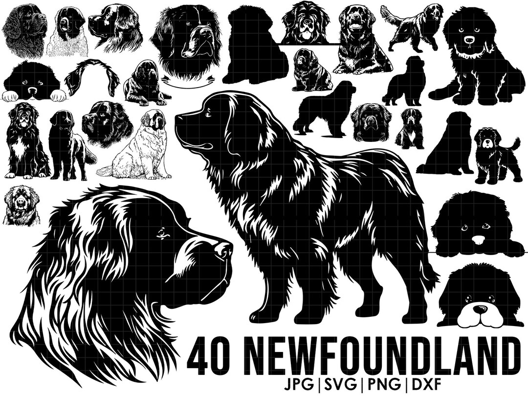 40 - Newfoundland Dog Svg Bundle| Svg, Cricut| Peeking Dog Clipart ...