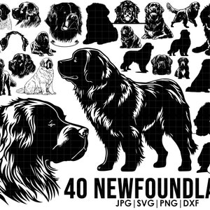40 - Newfoundland Dog Svg Bundle| Svg, Cricut| Peeking Dog Clipart ...