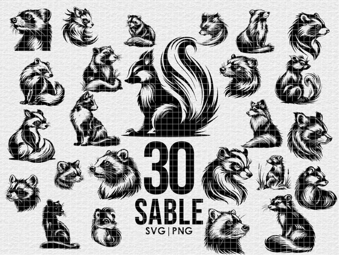 Sable Vector Illustration Bundle, Svg Png Bundle, Digital Download, for ...