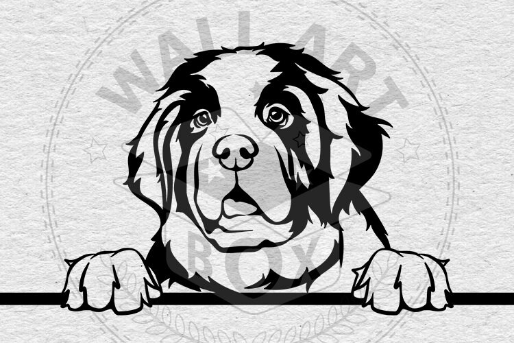 Saint Bernard Svg Dog Full Body Peeking St. Bernard Head Ears - Etsy