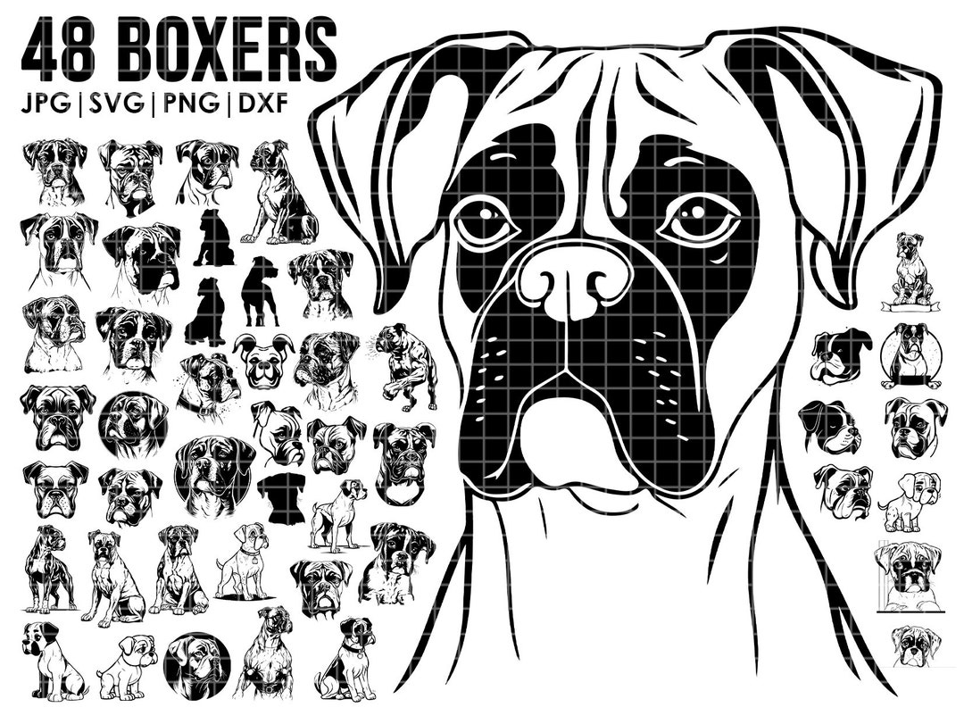 48 Boxer Dog SVG Mega Bundle Drawing Ear,full Body,peeking,silhouette ...