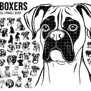 48 Boxer Dog SVG Mega Bundle Drawing Ear,full Body,peeking,silhouette ...