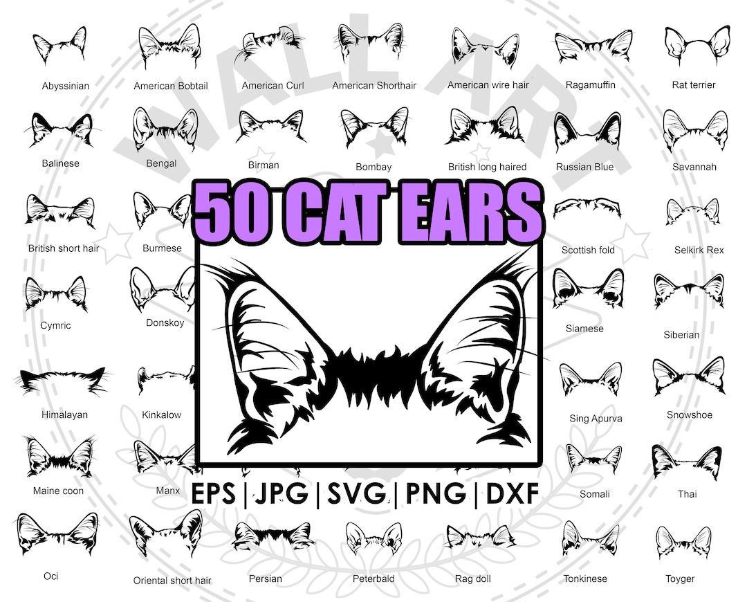 50 Breed Ear Cat Mega Bundle Drawing | Clipart, SVG, Png, Eps, Dxf, Jpg ...