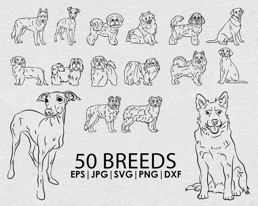 Dog Breed Bundle Drawing SVG, Png, Eps, Dxf, Jpg Bundle, Playful ...