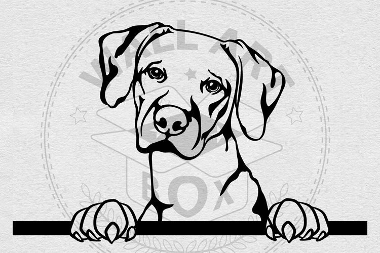 Rhodesian Ridgeback Dog Svg Dog Full Body Peeking Head Ears - Etsy