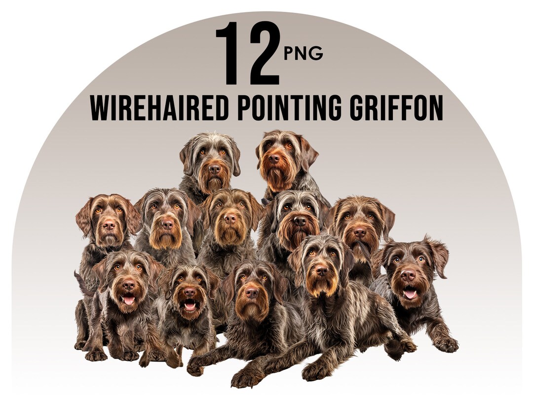 Wirehaired Pointing Griffon Dog Breeds Clipart Bundle, Dog Sublimation ...