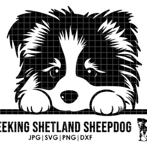 29 Shetland Sheepdog Dog Svg Bundle| Svg, Cricut| Peeking Dog Clipart ...