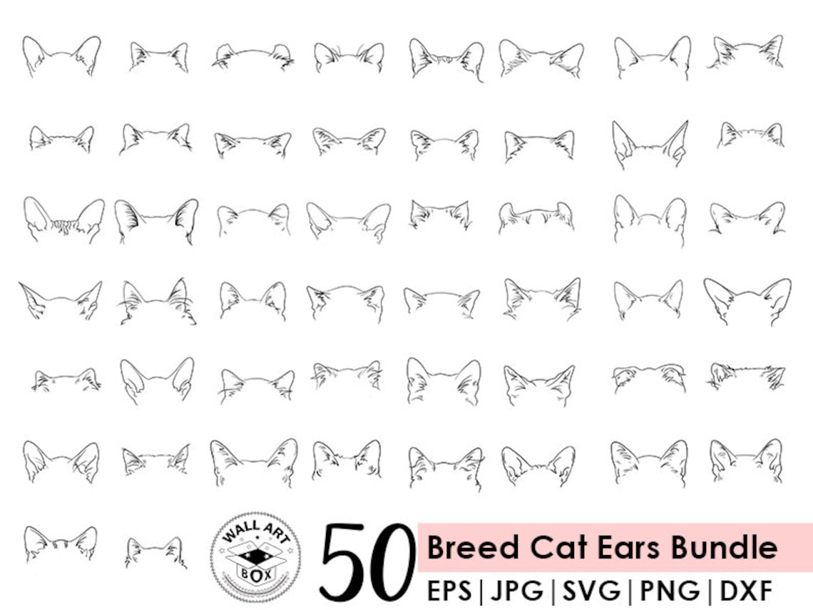 Cat Ears Line Drawing Bundle 50 Cat Breeds Ears Kitten - Etsy