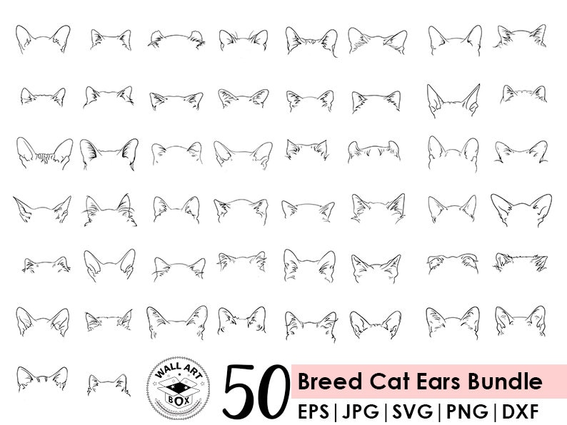 Cat Ears Line Drawing Bundle 50 Cat Breeds Ears Kitten - Etsy