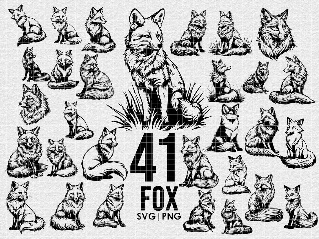 Fox Vector Illustration Bundle, Svg Png Bundle, Digital Download, for ...