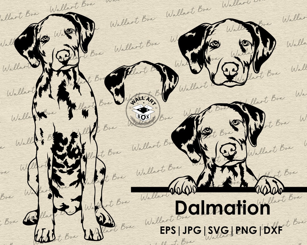 Dalmation Svg Dog Full Body Peeking Head Ears Files for Cricut| Clipart ...