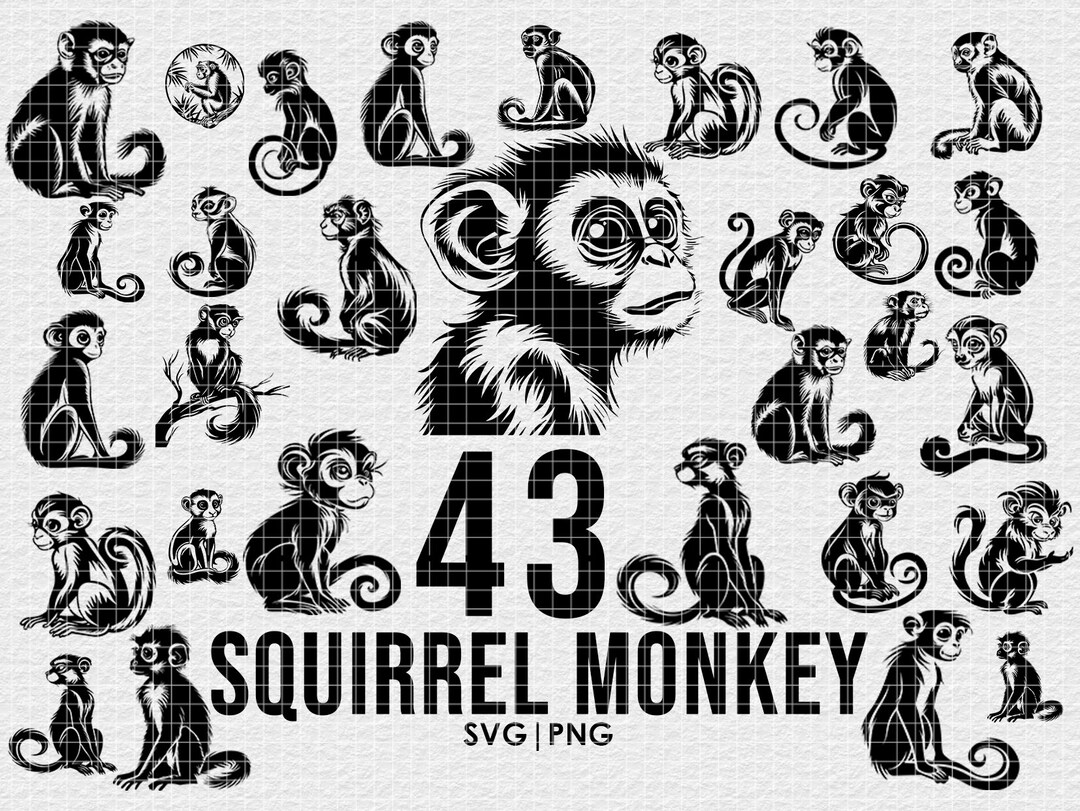 Squirrel Monkey Vector Illustration Bundle, Svg Png Bundle, Digital ...