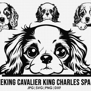 31 Cavalier king charles spaniels Svg Bundle| Svg, Cricut| Peeking Dog ...