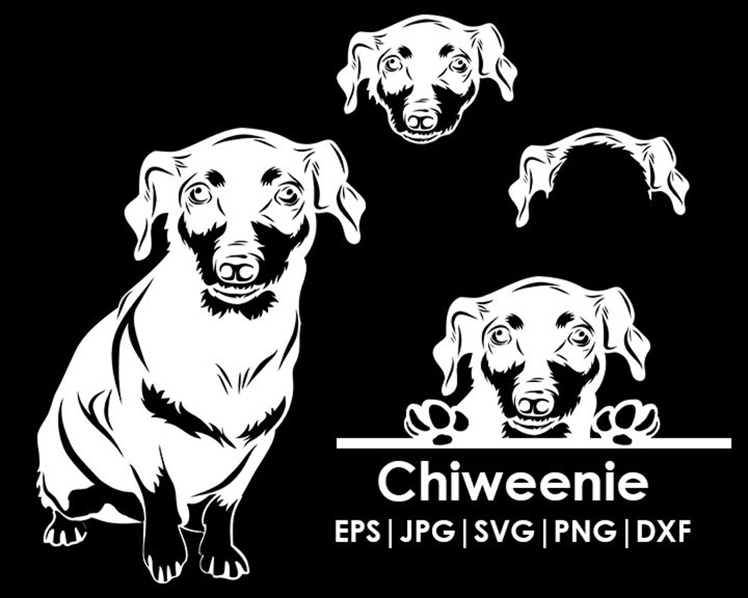 Chiweenie Dog Head, Full Body, Peeking, Dog Ear, Files Cricut| Clipart ...