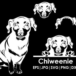 Chiweenie Dog Head, Full Body, Peeking, Dog Ear, Files Cricut| Clipart ...