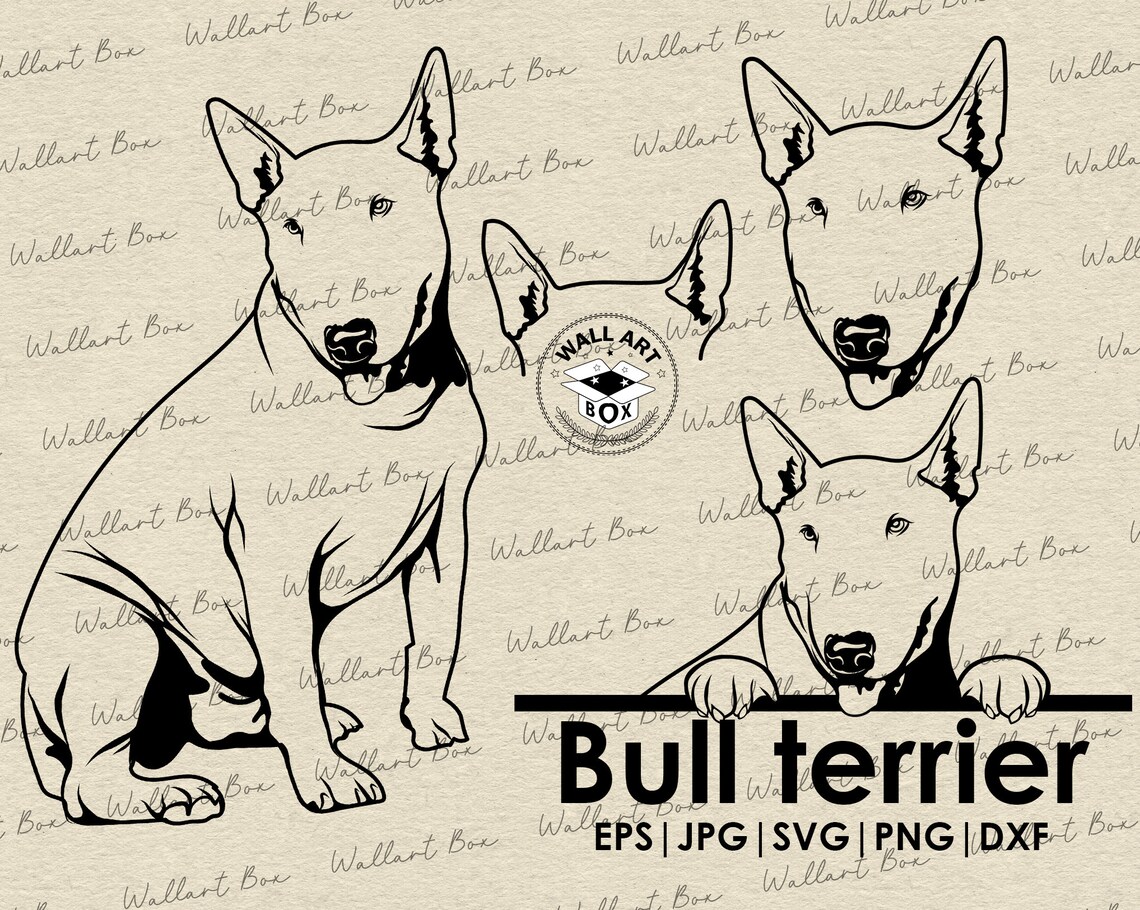 Bull Terrier Svg| Dog Full Body Peeking Head Ears Files for Cricut ...