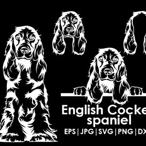 English Cocker Spaniel Dog Head, Full Body, Peeking, Dog Ear, Files ...